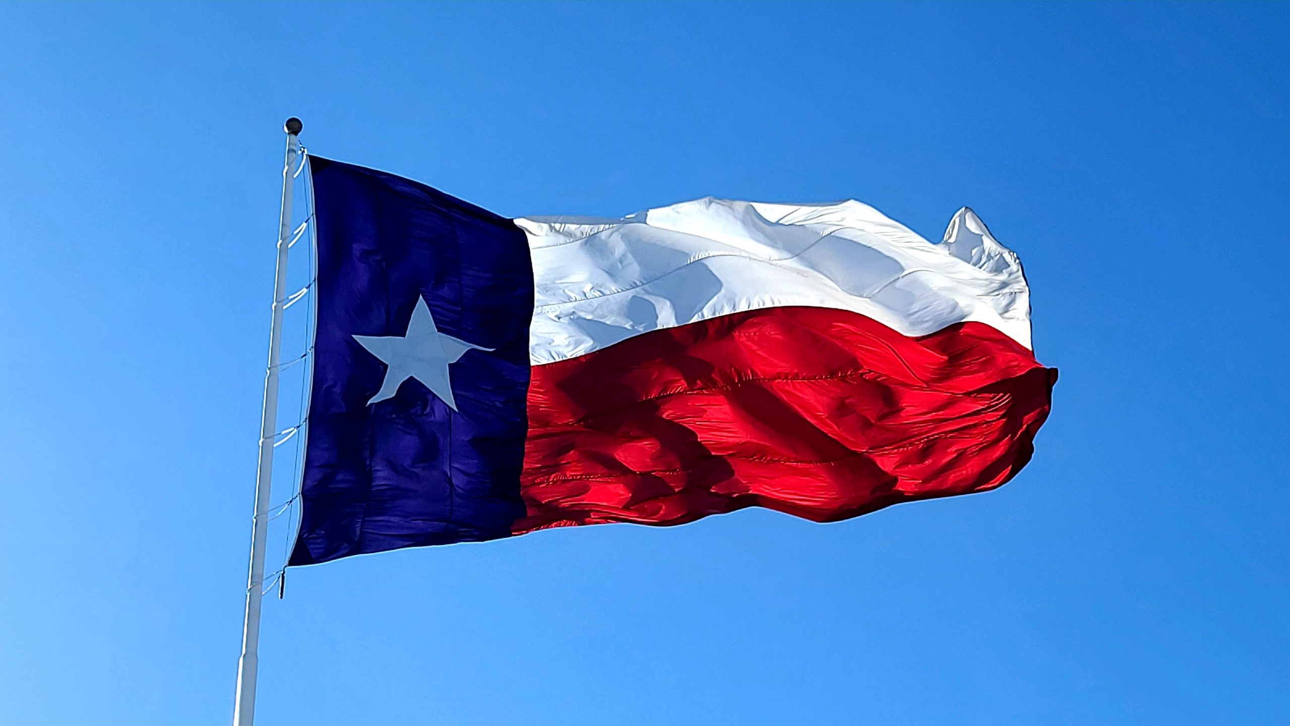 Best Texas Flag For The Money in 2025