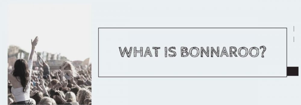 What is Bonnaroo? An Ultimate Guide for 2025